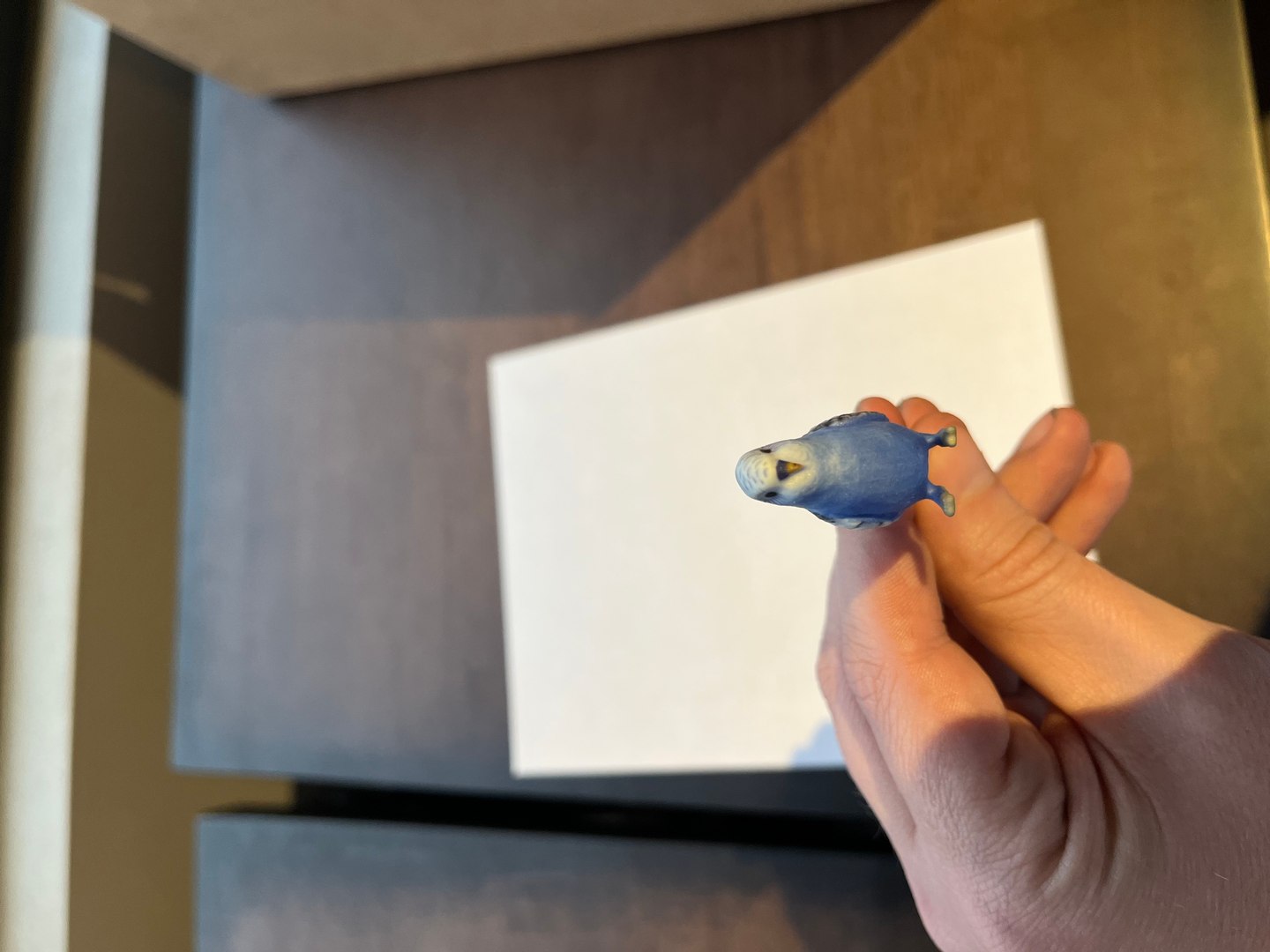 3D Parakeet Bird 3D Model - TurboSquid 2186006