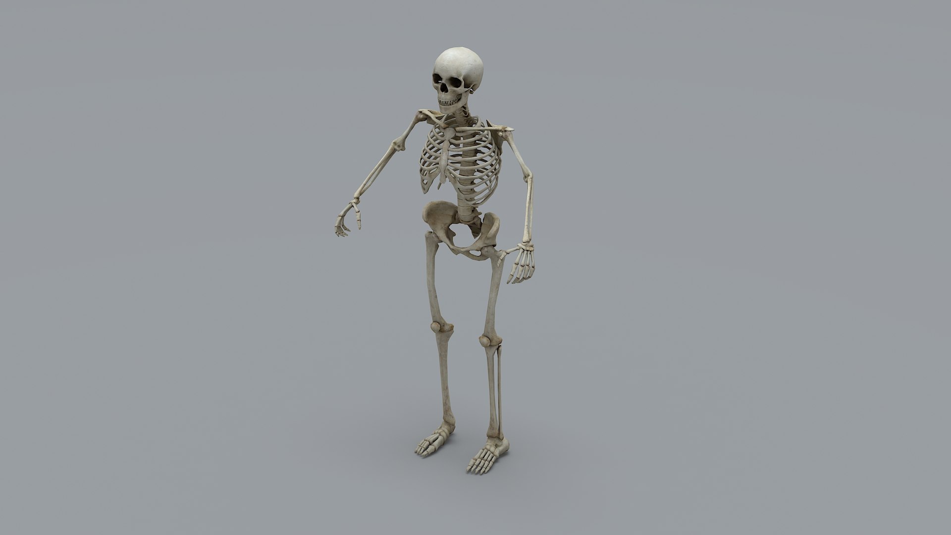 3D Human Skeleton - TurboSquid 1711766