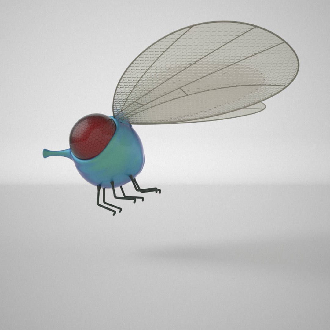 Cartoon fly 3D - TurboSquid 1367164