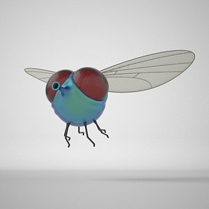 3D Cartoon Fly Models - Browse & Download Formats - TurboSquid
