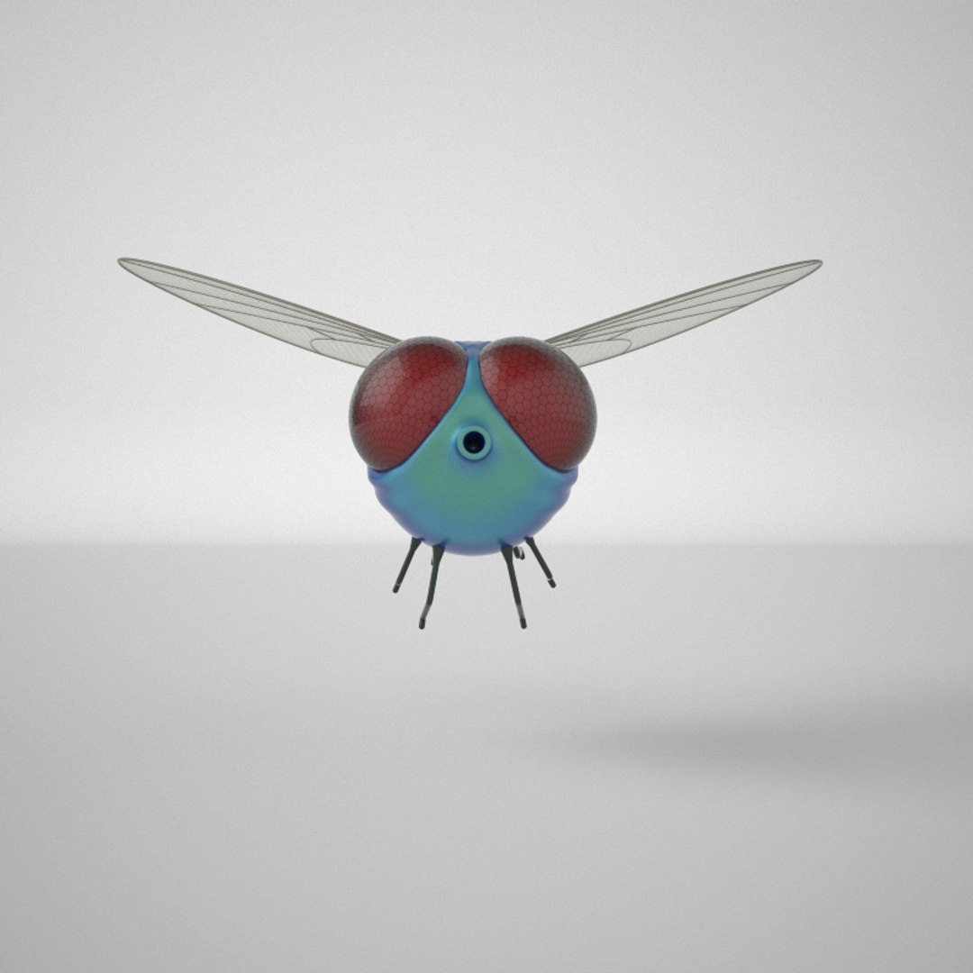 Cartoon fly 3D - TurboSquid 1367164