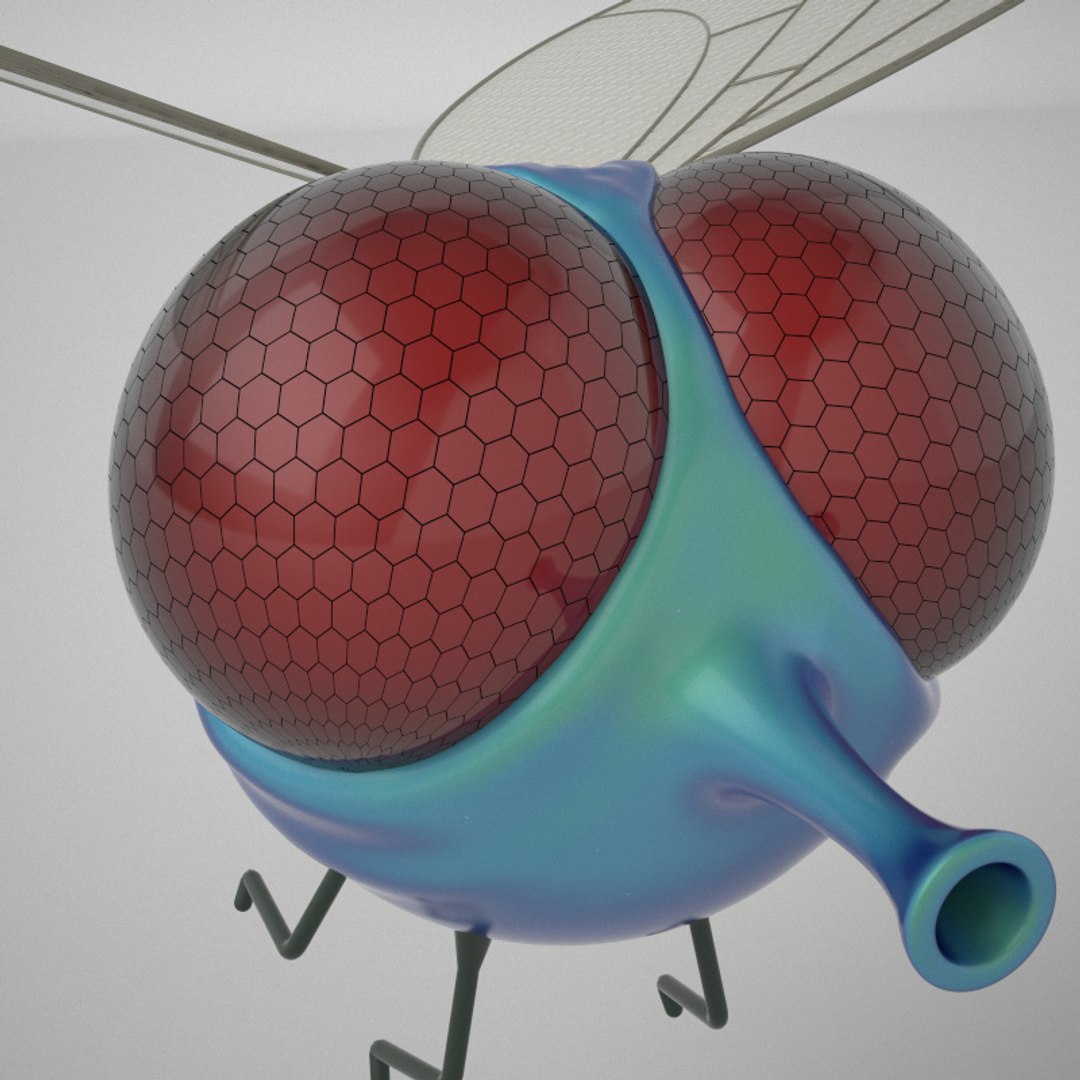 Cartoon fly 3D - TurboSquid 1367164