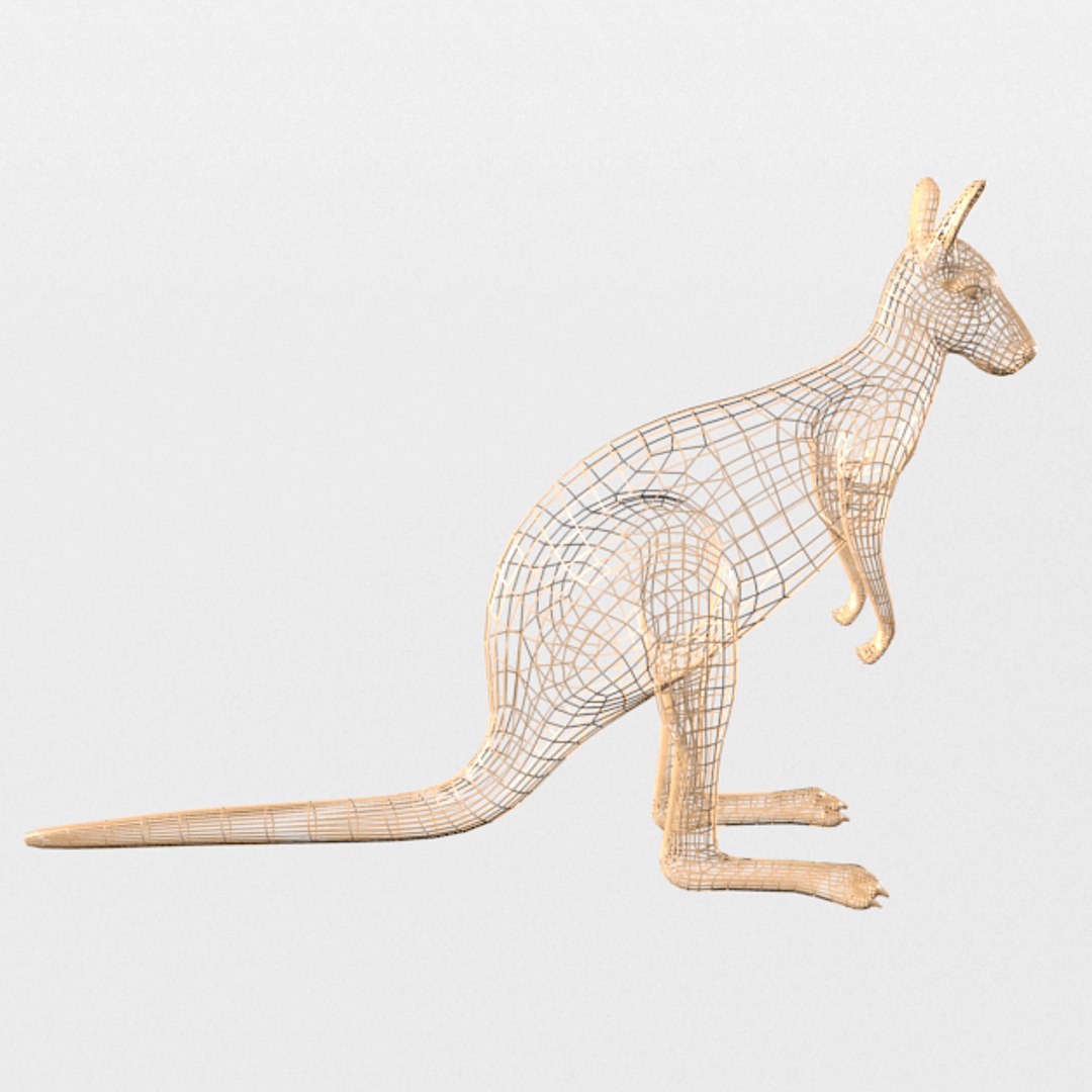 3D Kangaroo - TurboSquid 1346751