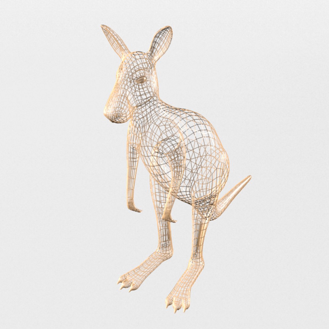 3D Kangaroo - TurboSquid 1346751