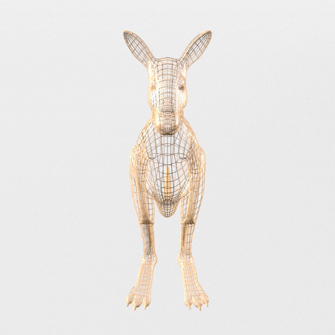 3D Kangaroo - TurboSquid 1346751
