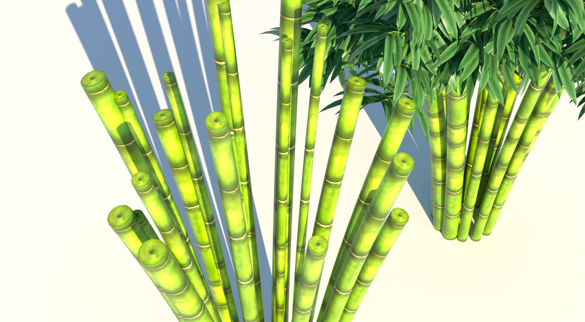 Bamboo 3d Model Turbosquid 1717308