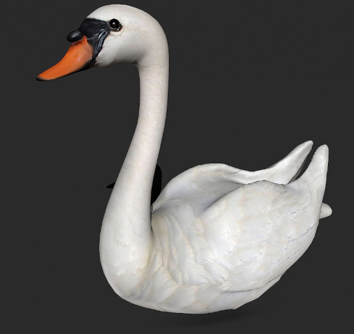 Fully Rigged Two Different Versions Of Swan 3D Model - TurboSquid 1746513