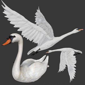 flying swan 3d model