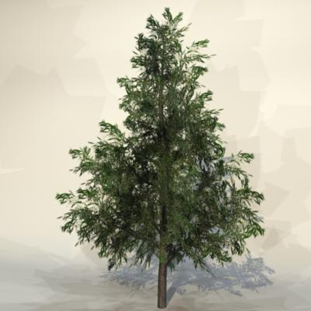 3d Pc Tree Model