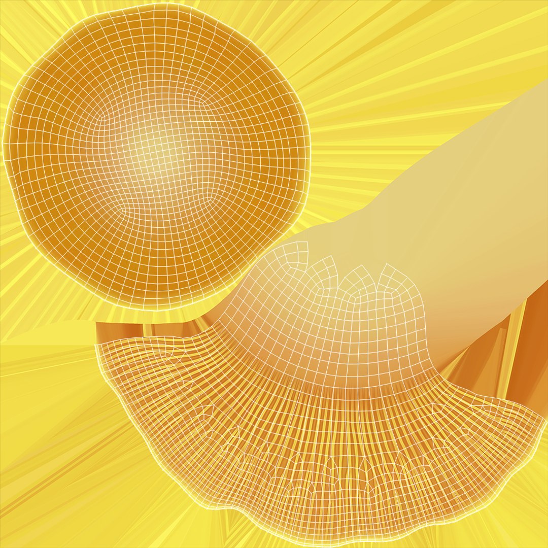 Cartoon Shrooms Collection 3D Model - TurboSquid 2109462