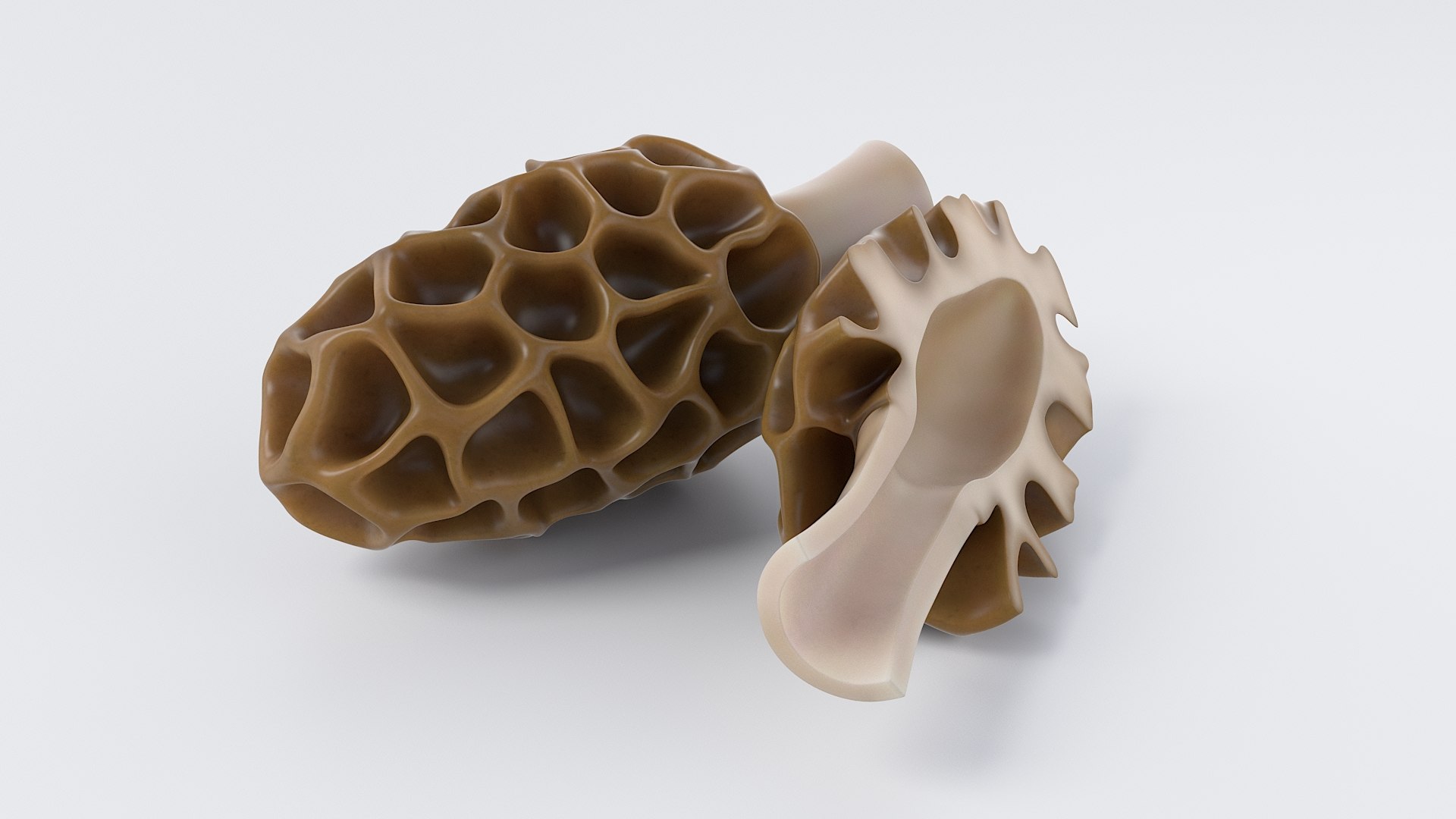 Cartoon Shrooms Collection 3D Model - TurboSquid 2109462