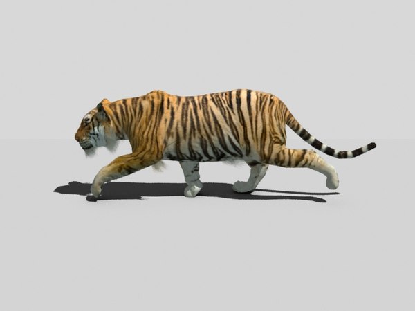 3d model tiger animations