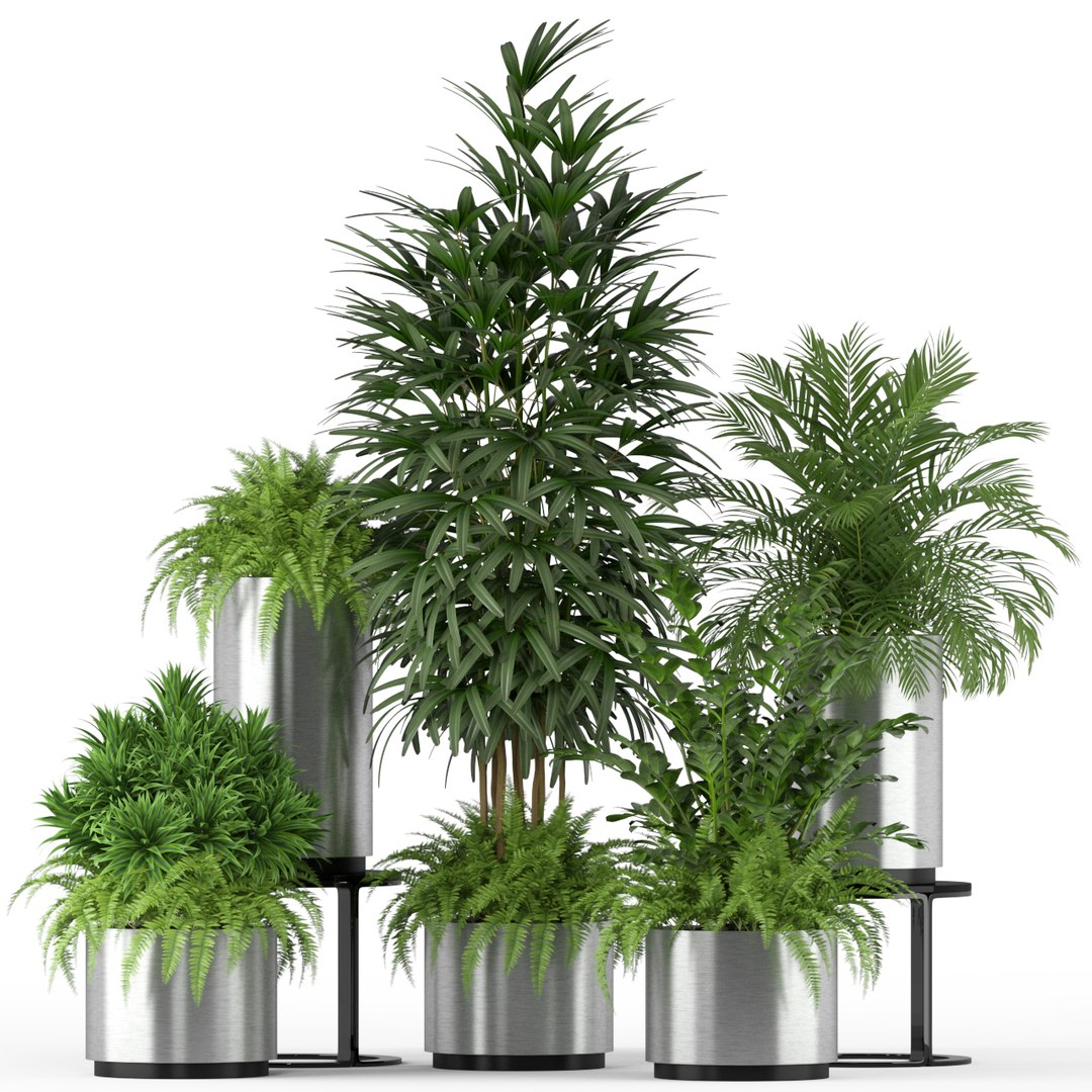 Plants 206 3D Model - TurboSquid 1475010