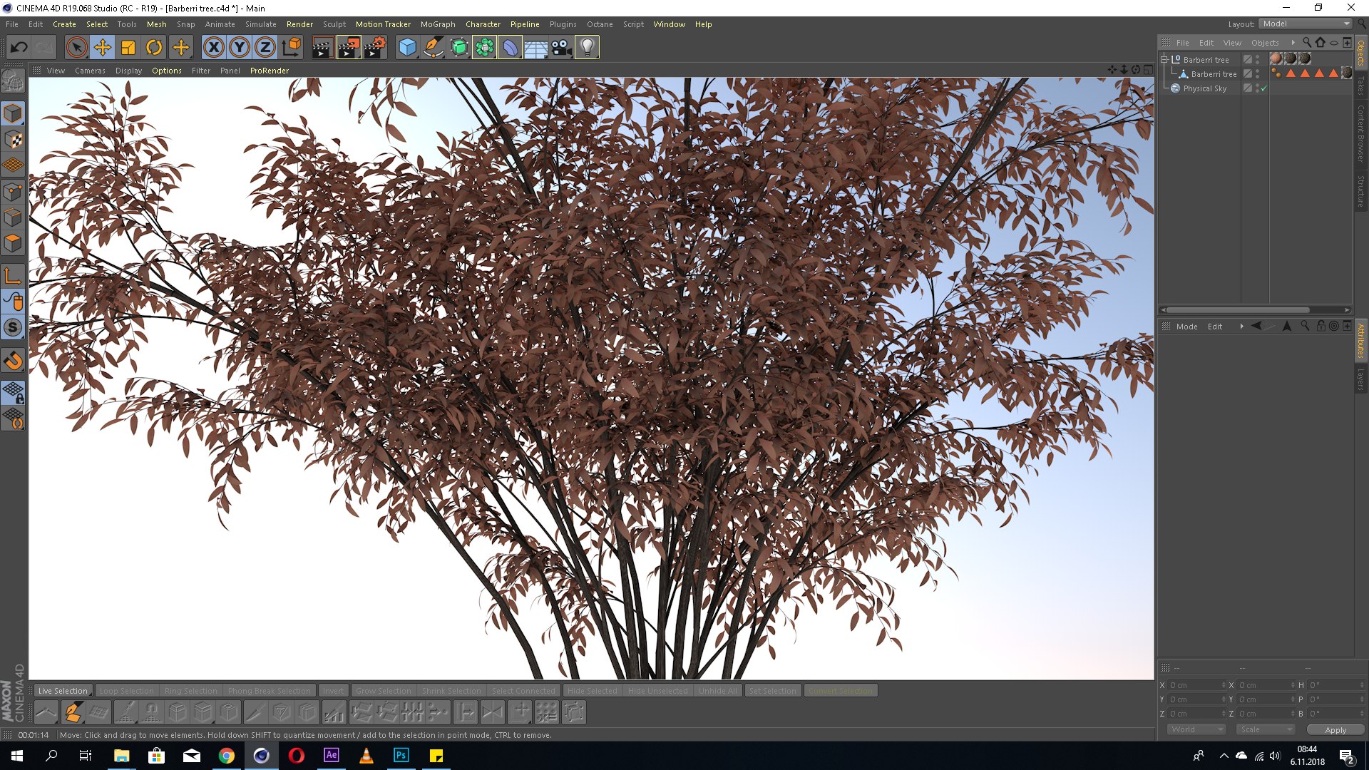 3D barberri tree - TurboSquid 1343672