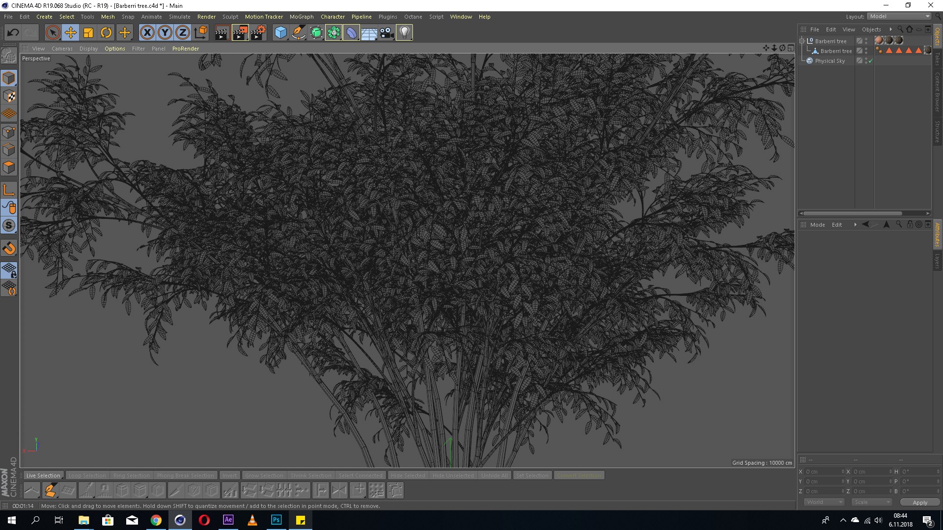 3D barberri tree - TurboSquid 1343672