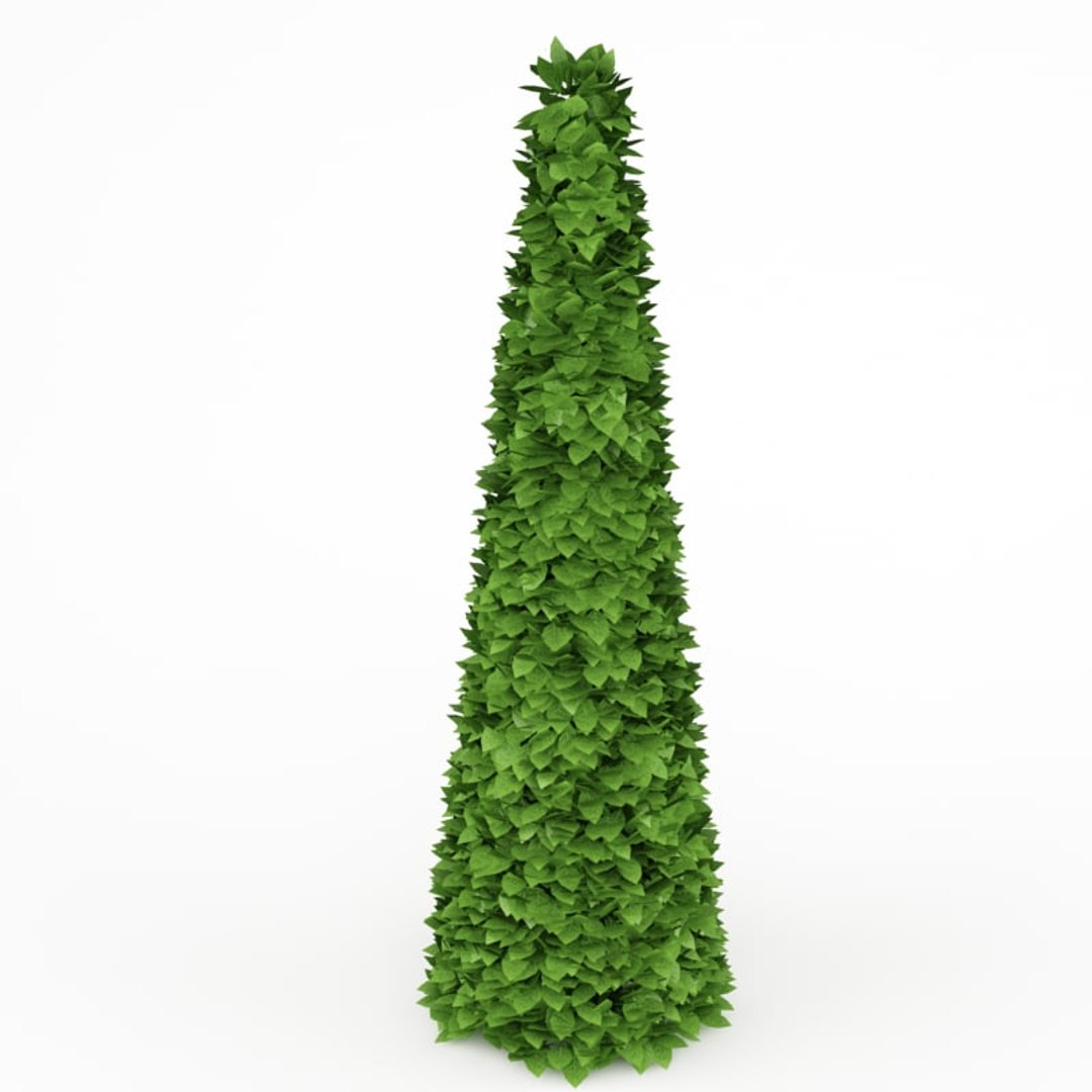 conical bush 3d max