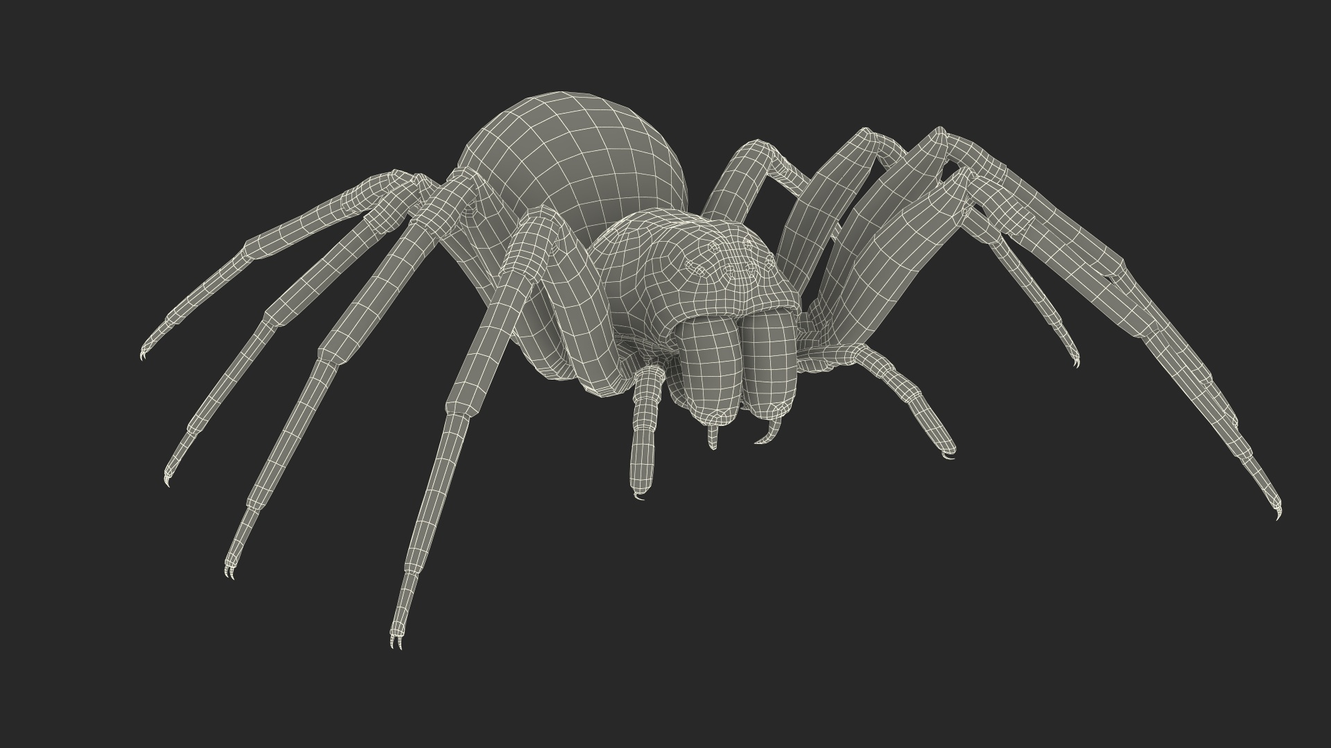 3D Model Black House Spider Fur Base Pose - TurboSquid 2156930