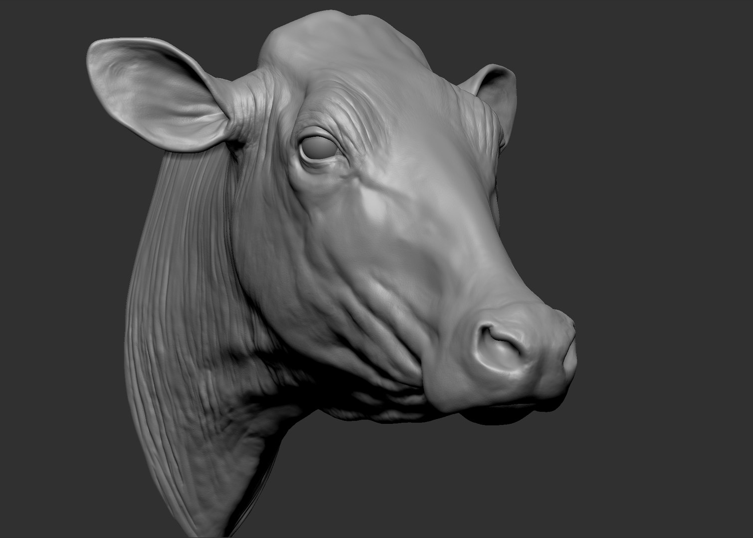Cow head 3D - TurboSquid 1396830