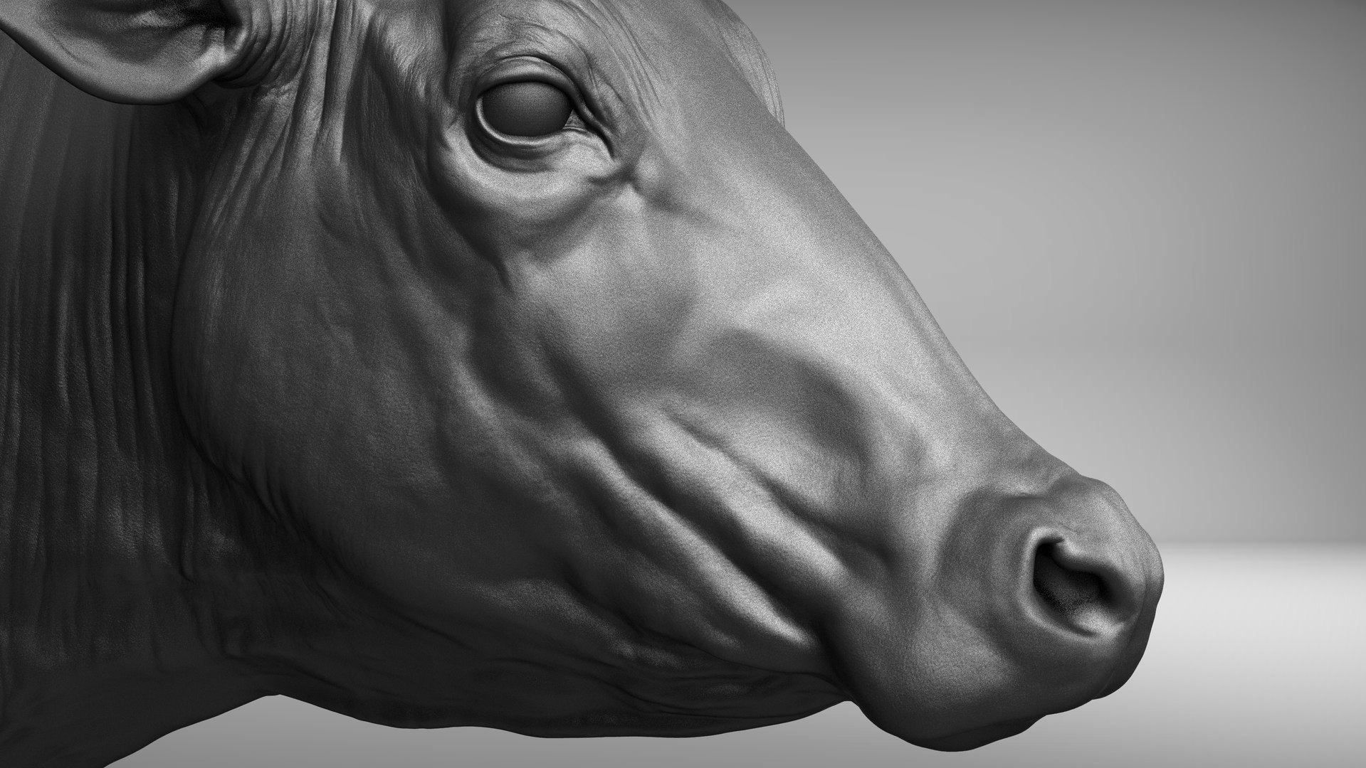 Cow head 3D - TurboSquid 1396830