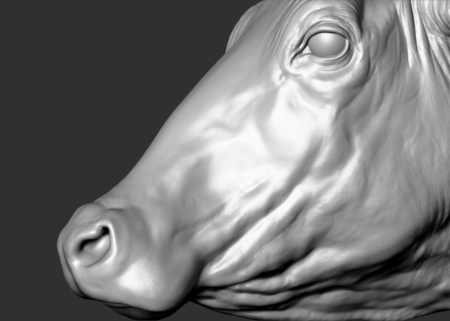 Cow head 3D - TurboSquid 1396830