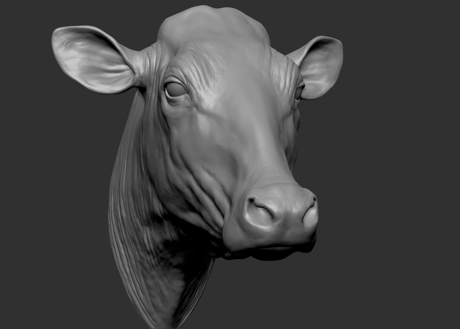 Cow head 3D - TurboSquid 1396830