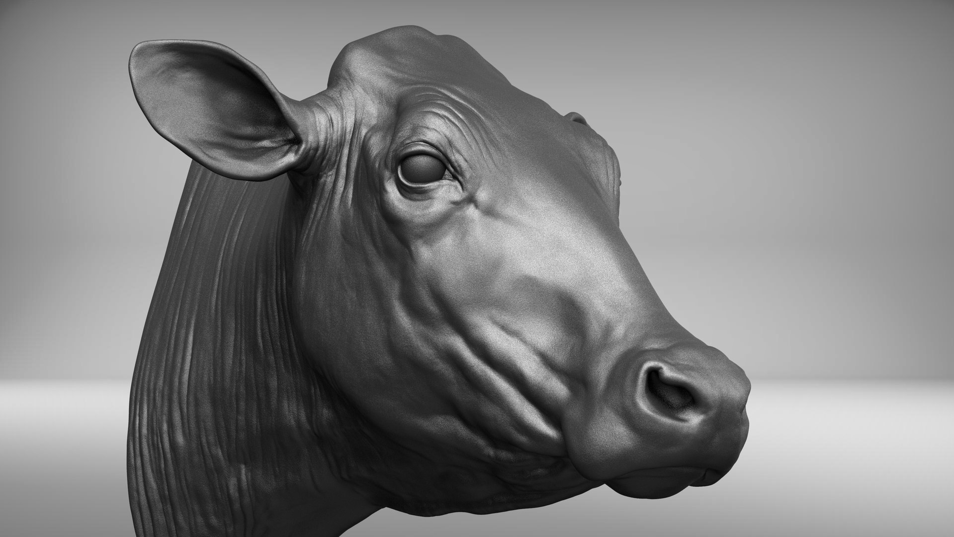 Cow Head 3D - TurboSquid 1396830