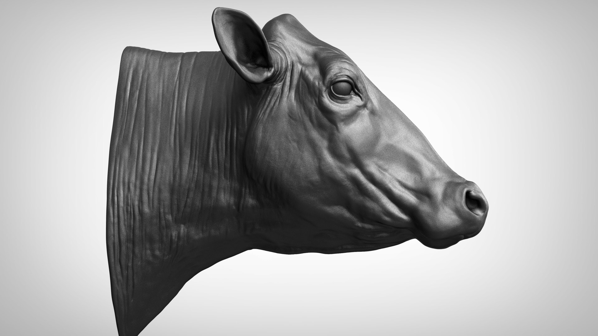 Cow Head 3D - TurboSquid 1396830