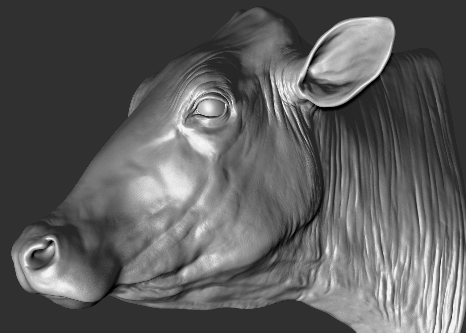 Cow head 3D - TurboSquid 1396830
