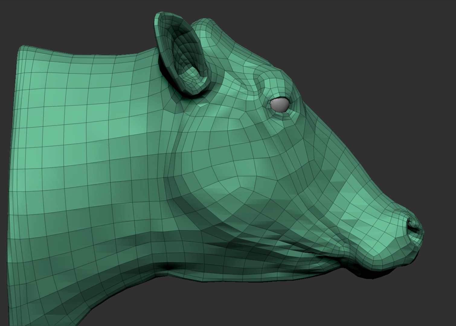 Cow head 3D - TurboSquid 1396830