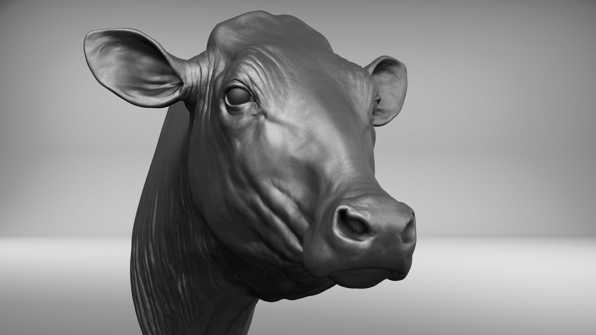 Cow Head 3D - TurboSquid 1396830