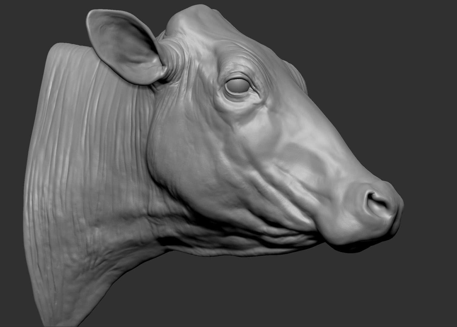 Cow head 3D - TurboSquid 1396830