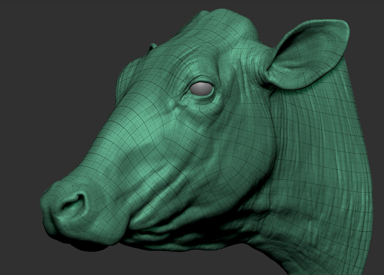 Cow head 3D - TurboSquid 1396830