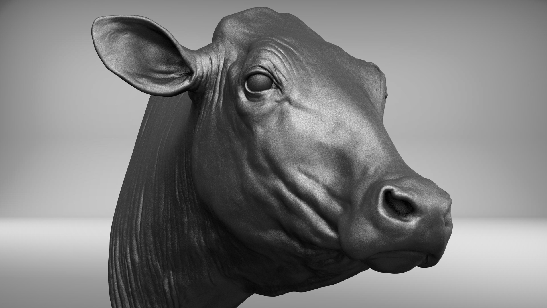 Cow head 3D - TurboSquid 1396830