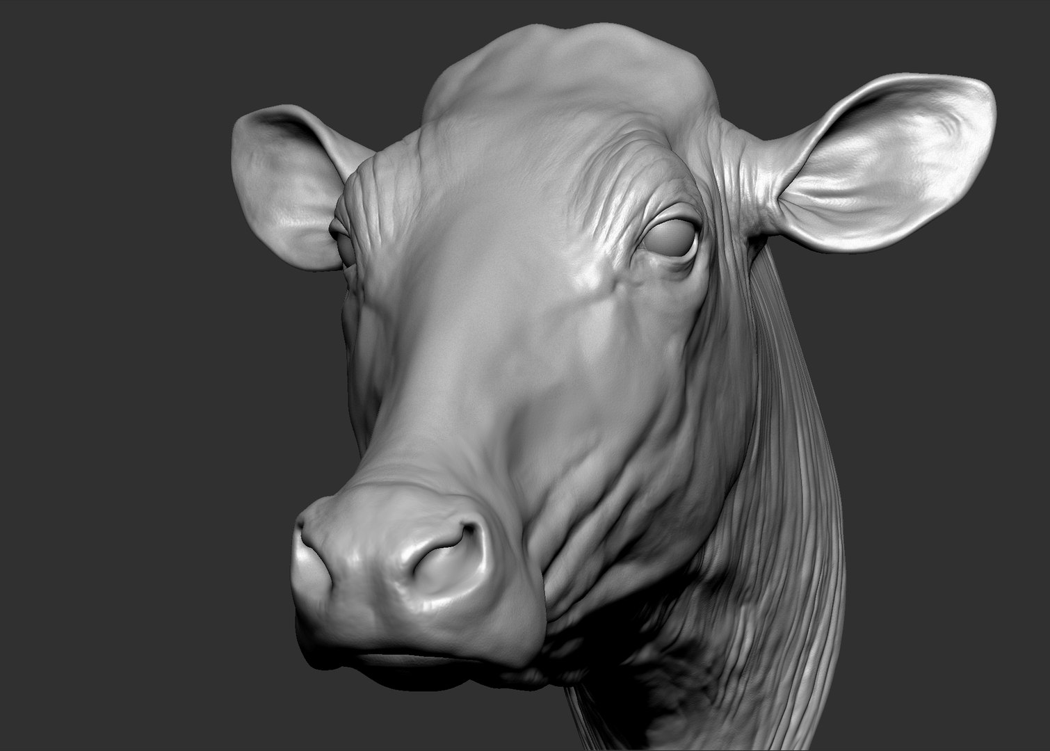 Cow head 3D - TurboSquid 1396830