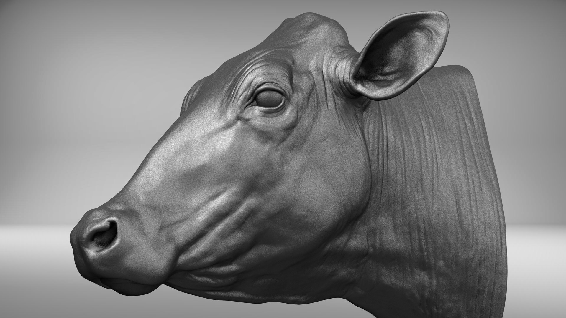 Cow head 3D - TurboSquid 1396830