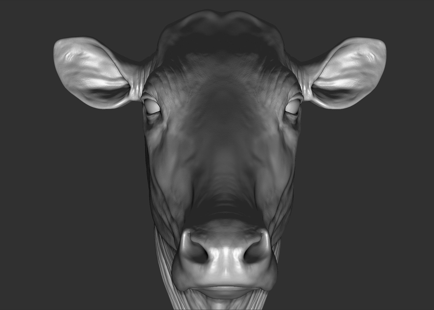 Cow head 3D - TurboSquid 1396830