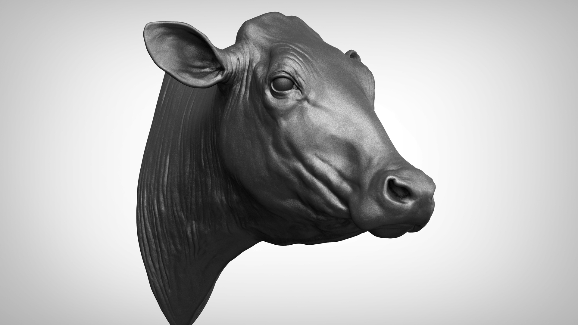 Cow head 3D - TurboSquid 1396830