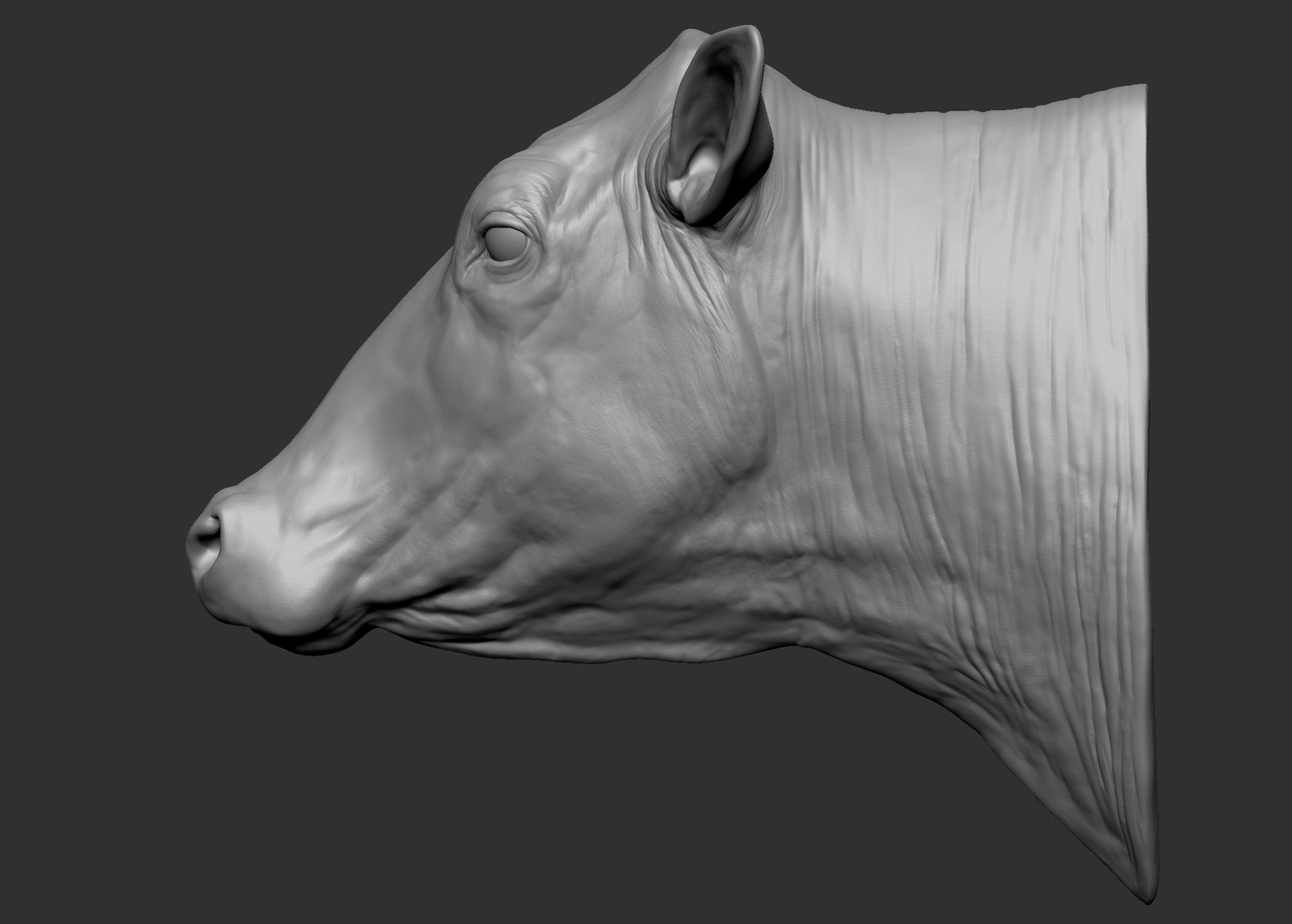 Cow head 3D - TurboSquid 1396830