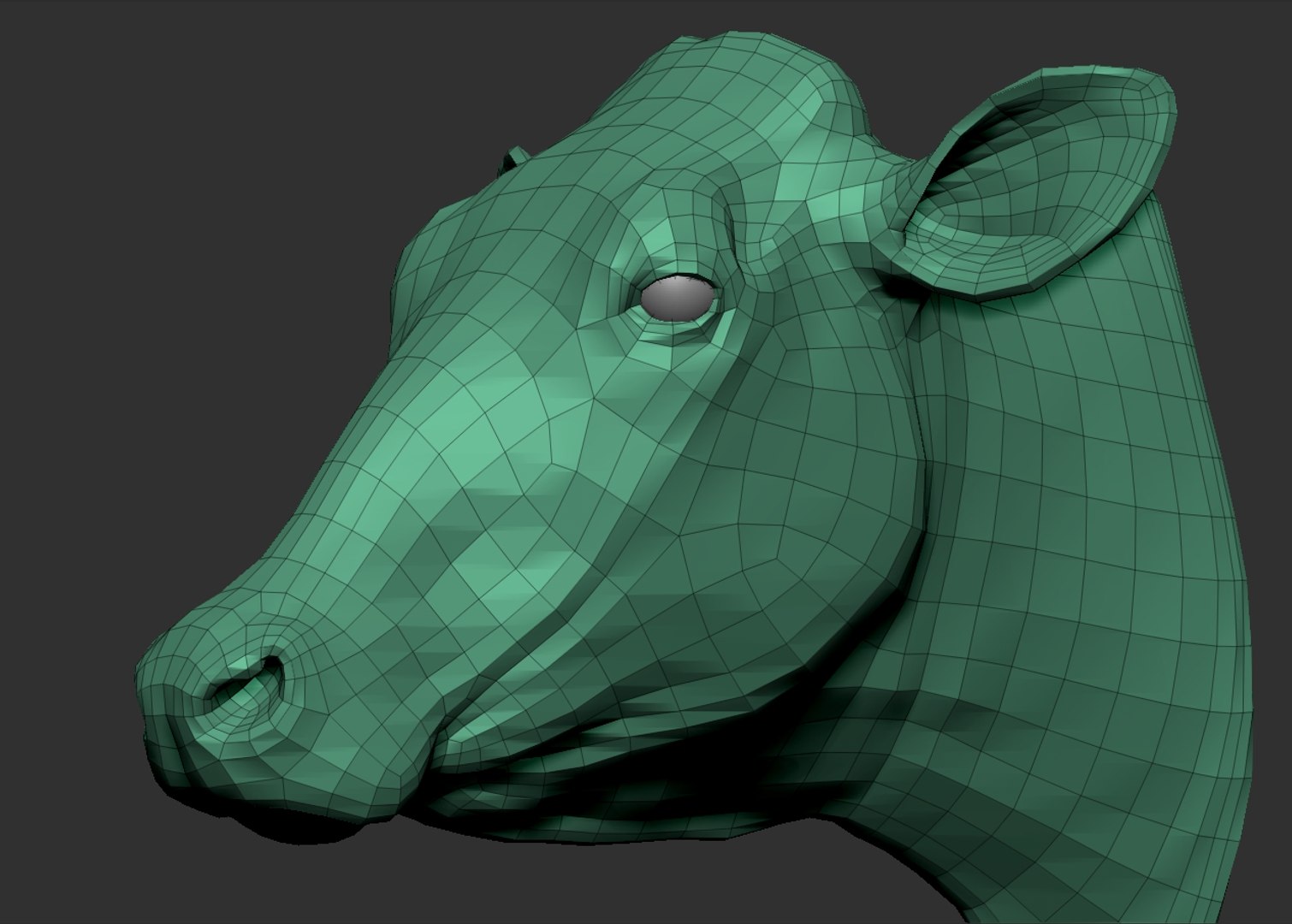 Cow head 3D - TurboSquid 1396830