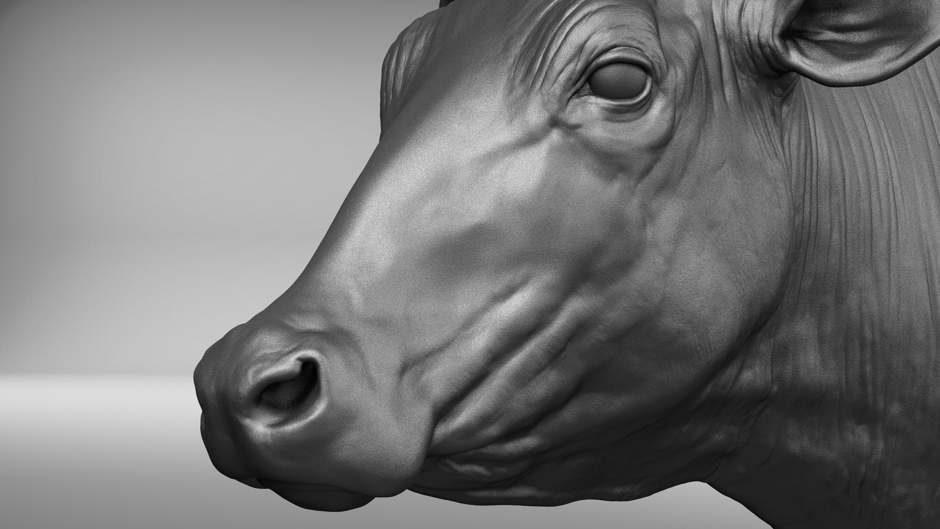 Cow head 3D - TurboSquid 1396830