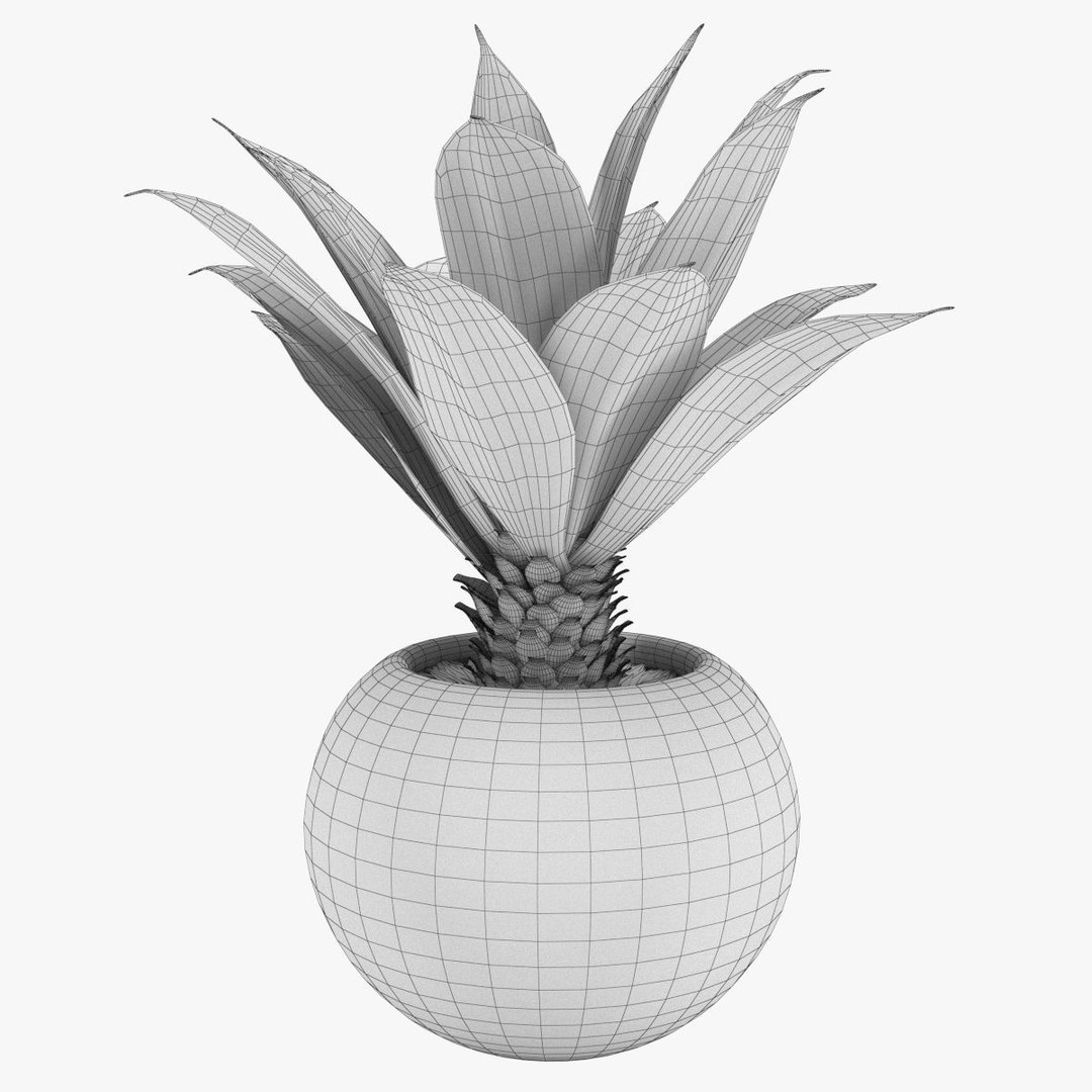 3D Plant Pot Model - TurboSquid 1251833