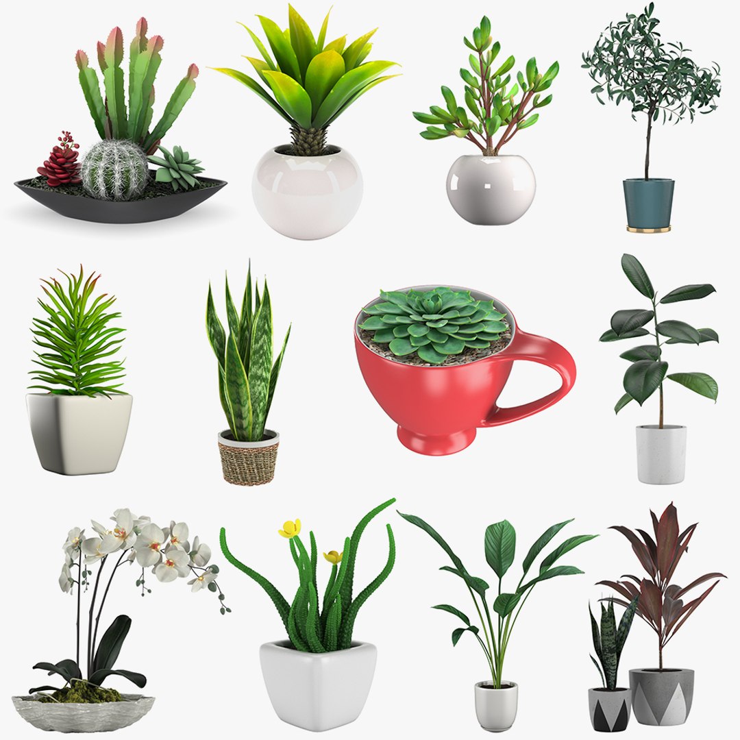 3D plant pot model - TurboSquid 1251833
