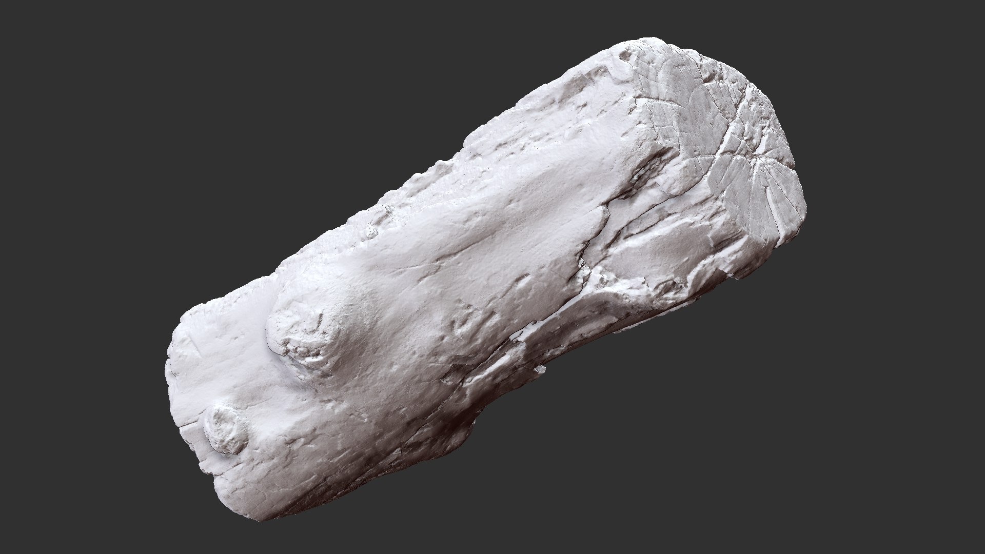 3d Scan Of Tree Trunk In Highpoly 3D - TurboSquid 2149368