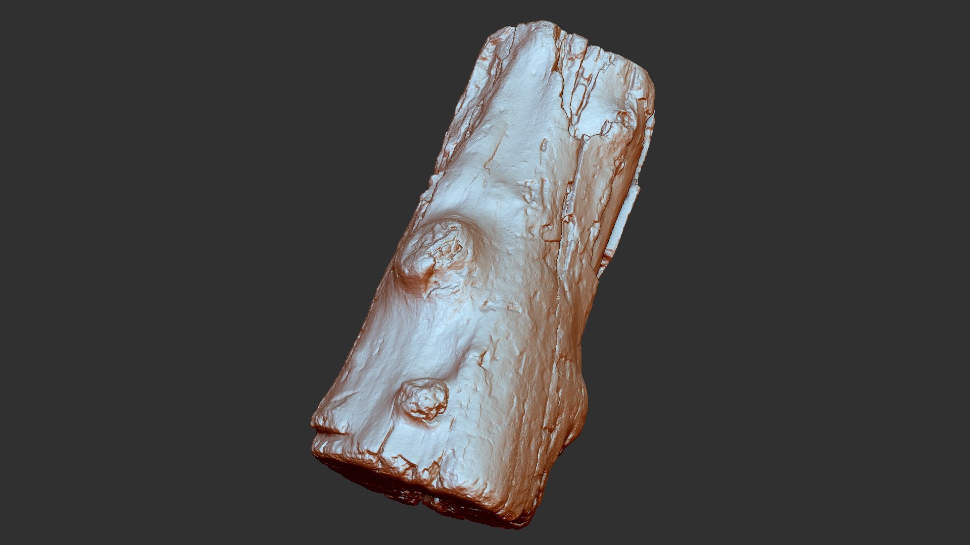 3d scan of tree trunk in highpoly 3D - TurboSquid 2149368