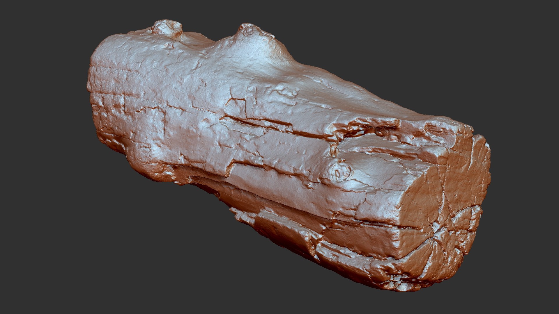 3d Scan Of Tree Trunk In Highpoly 3D - TurboSquid 2149368