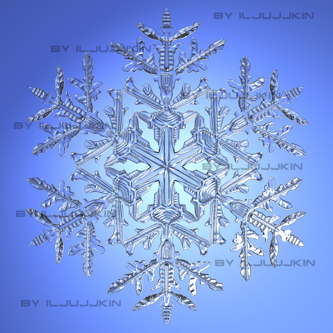 Snowflake Snow Flake 3d Model