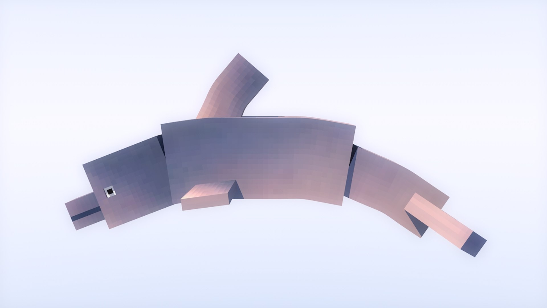 3d Model Qualitative Dolphin Rig