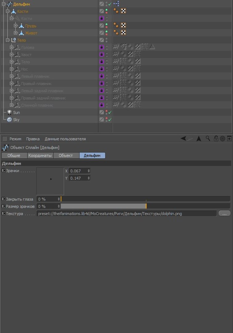 3d Model Qualitative Dolphin Rig
