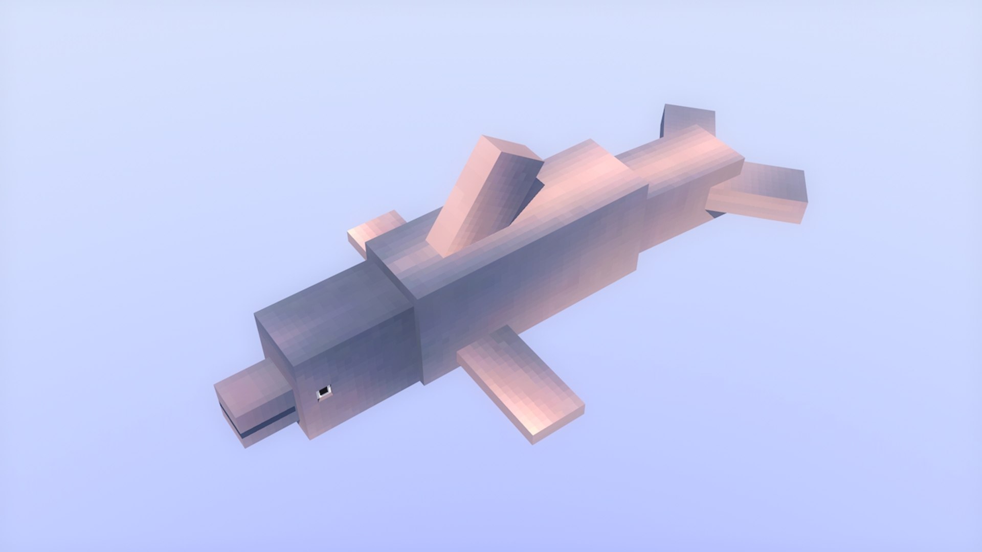 3d Model Qualitative Dolphin Rig