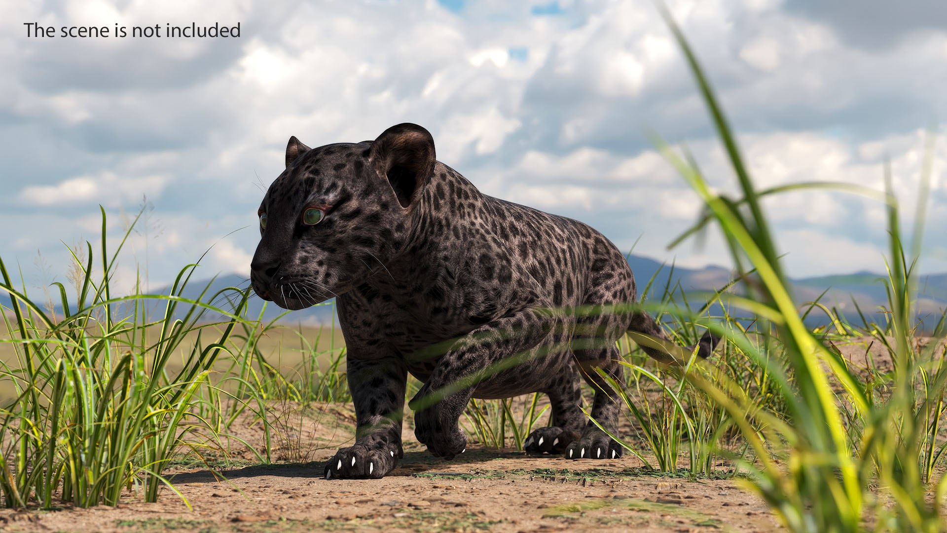 3D Black Leopard Cub Rigged For Maya - TurboSquid 2381623